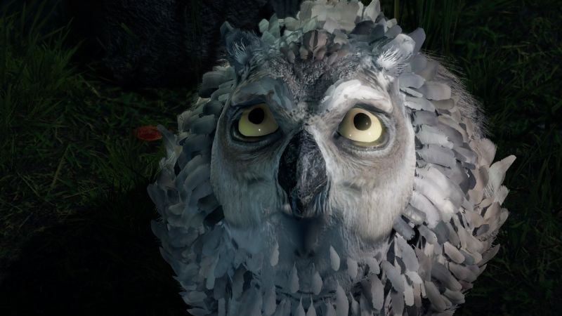 How to Get the Owlbear Cub in Baldur’s Gate 3 - We Game Daily