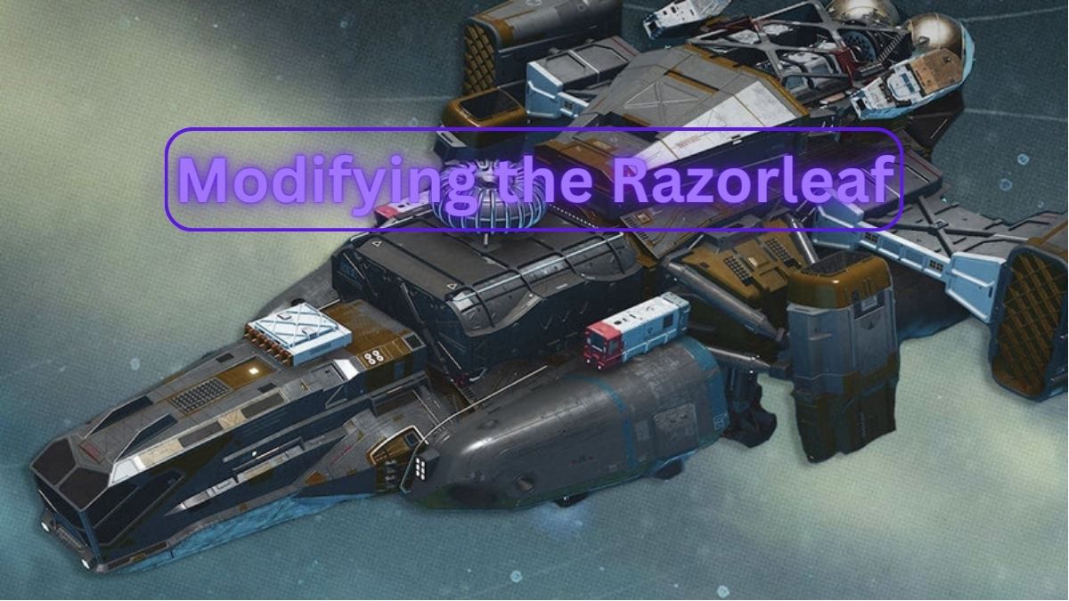 Starfield: Can You Modify the Razorleaf & Still Scare Pirates Away ...